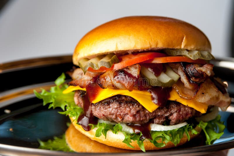 57,289 Burger Plate Stock Photos - Free & Royalty-Free Stock Photos ...