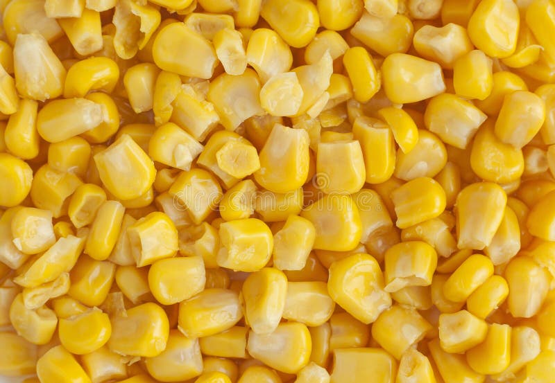 Canned Sweet Corn in Opened Tin Can, Top View. Stock Photo - Image of ...