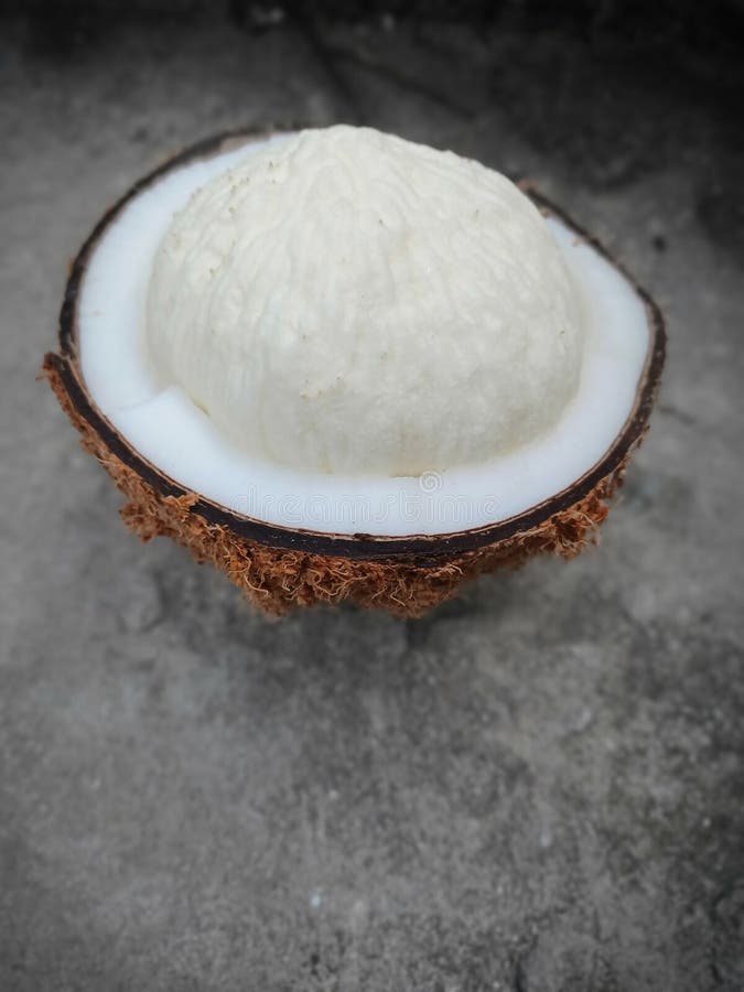 Juicy Coconut Stands in the Waves of the Warm Sea, Cheerful Coconut on ...