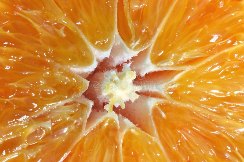 Juicy cutted orange stock image. Image of drops, jelly - 1172247