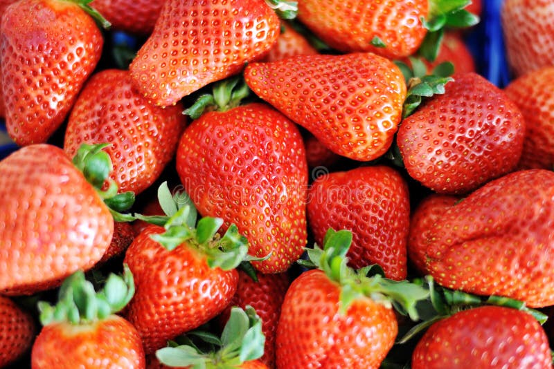 Juicy Delicious Fresh Red Strawberries Stock Photo - Image of delicious ...