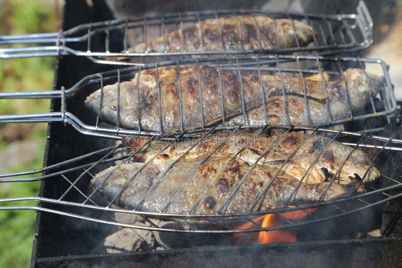 Juicy Fish Being Grilled on the Fire Stock Image - Image of fish ...