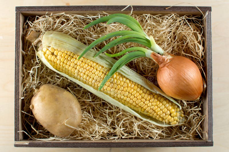 Juicy and Fresh Vegetables on Straw in a Wooden Box Stock Image - Image ...