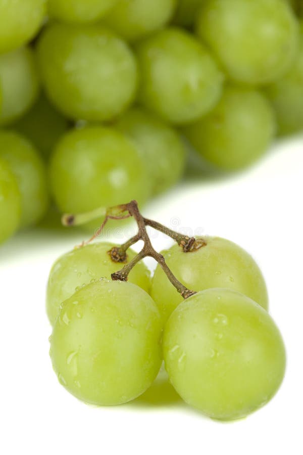 Juicy green grape fruits stock image. Image of healthy - 48273471