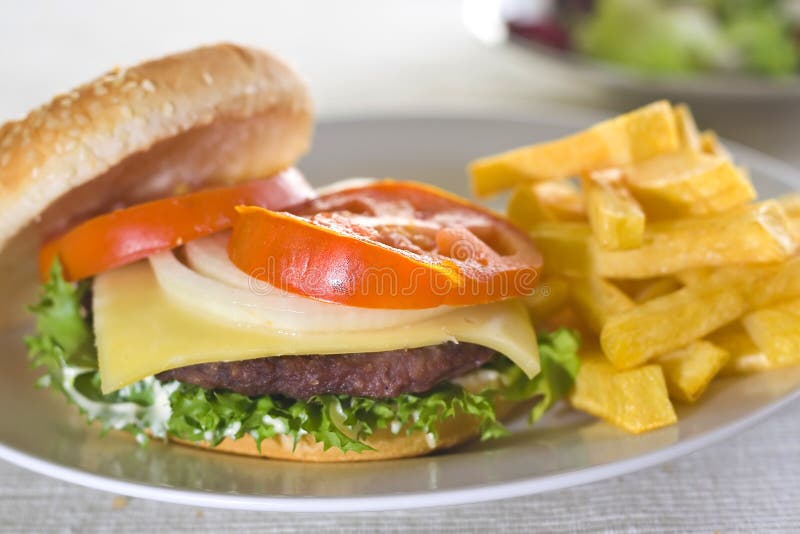 Juicy Hamburger Meat Picture. Image: 6925406