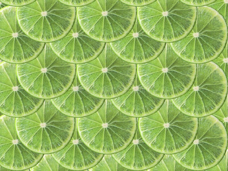 Juicy Lime Slice Circle Shape Alignment Isolated on White Background ...