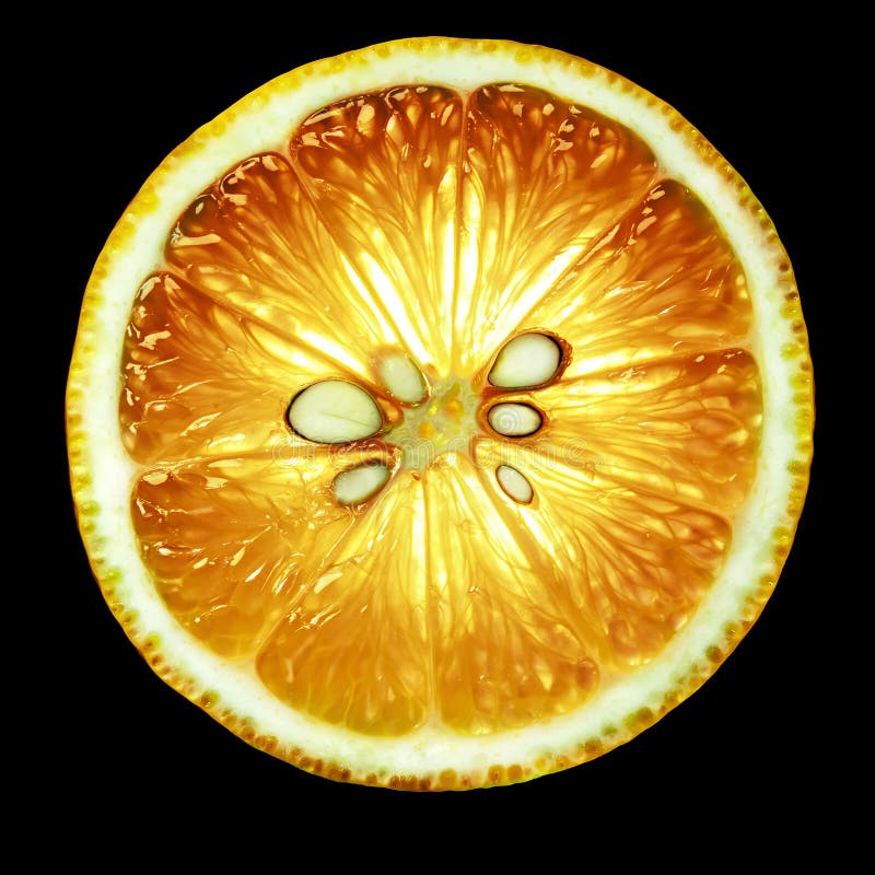 A juicy luminous orange stock photo. Image of template - 101057114