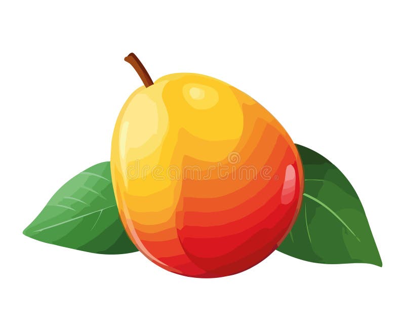Juicy mango illustration stock vector. Illustration of nature - 279269477