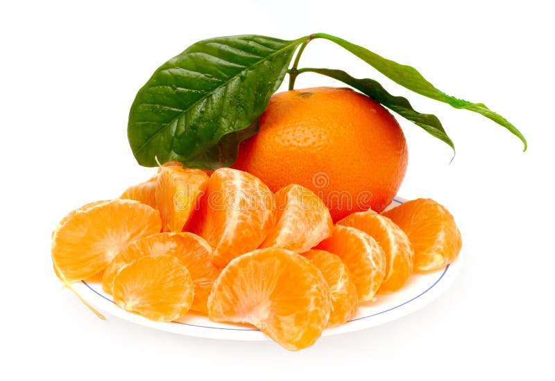 Juicy Orange stock photo. Image of tasty, nature, yellow - 19205214