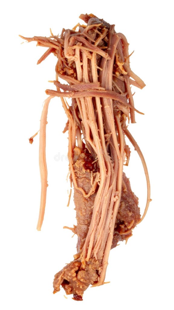 Juicy Pulled Pork Threads Falling on Transparent Background Stock Photo ...