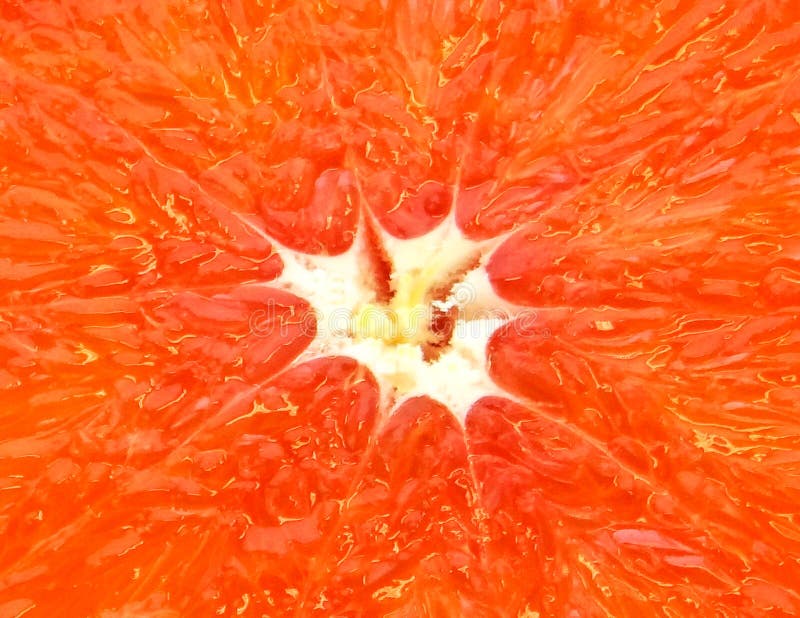 Juicy pulp of grapefruit. stock photo. Image of healthy - 90086312