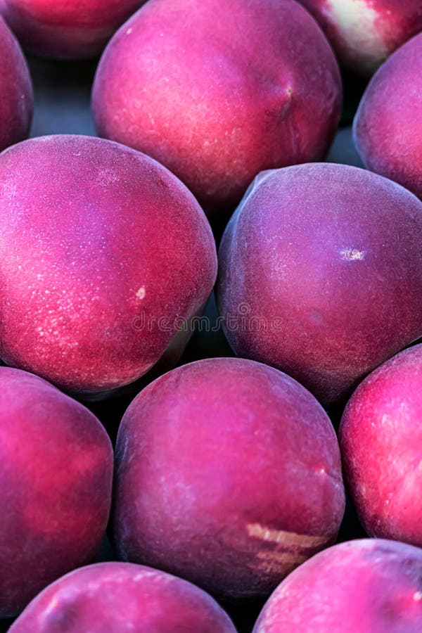 Juicy purple peaches stock photo. Image of ingredient - 30926818