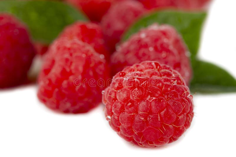Juicy raspberries stock image. Image of gourmet, desert - 48273407