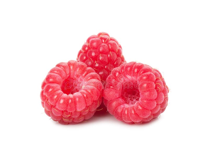 Single Raspberry Isolated on the White Background Stock Photo - Image ...