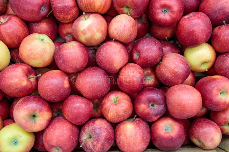 Juicy Red Apples on the Store Counter Stock Photo - Image of nature ...
