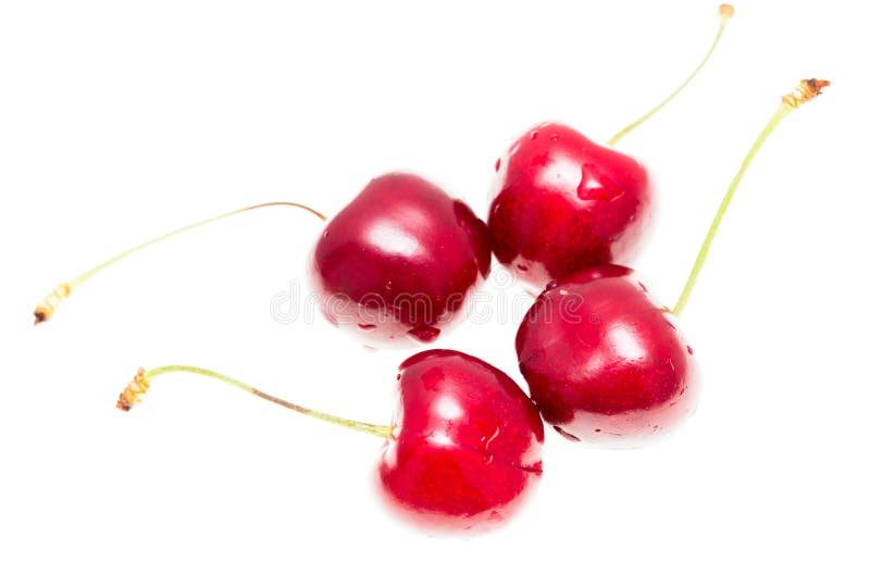 Juicy Red Cherry on a White Background Stock Image - Image of color ...