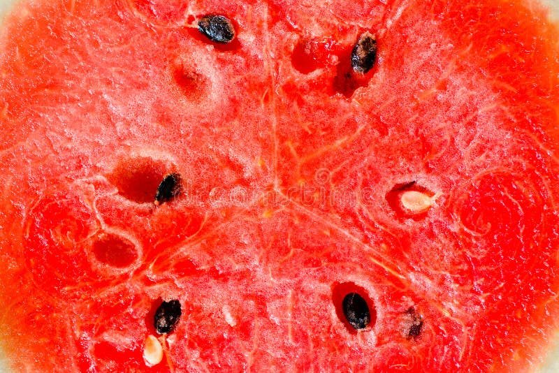 Juicy Red Watermelon Flesh in Full Frame Stock Photo - Image of nature ...