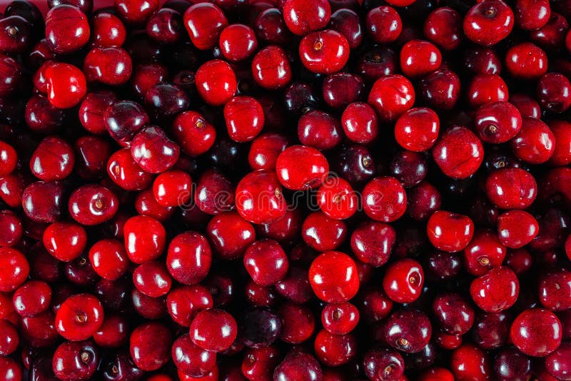 Juicy Ripe Cherry Closeup Mound Stock Photos - Free & Royalty-Free ...