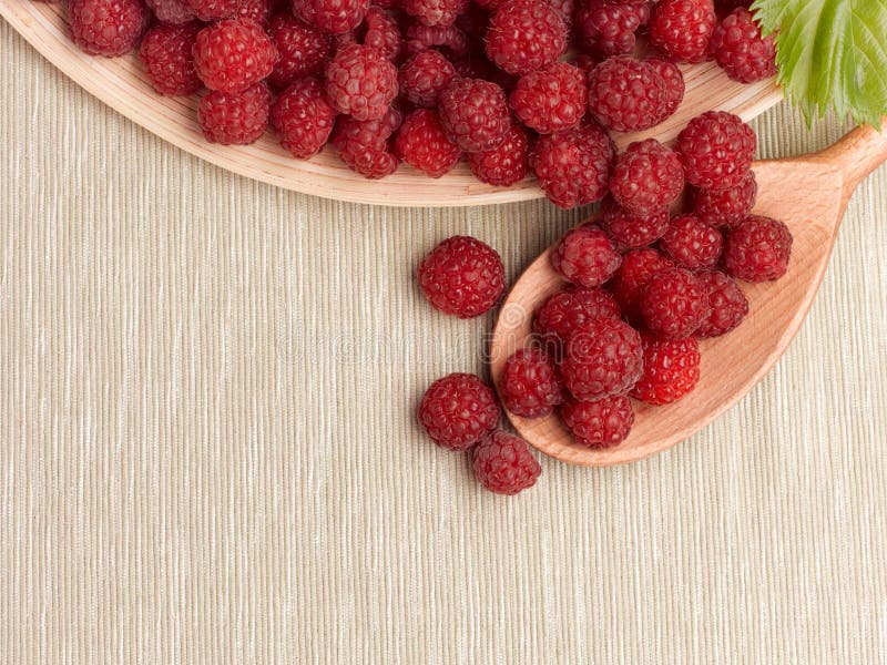 Juicy ripe raspberry stock photo. Image of ripe, natural - 57276258