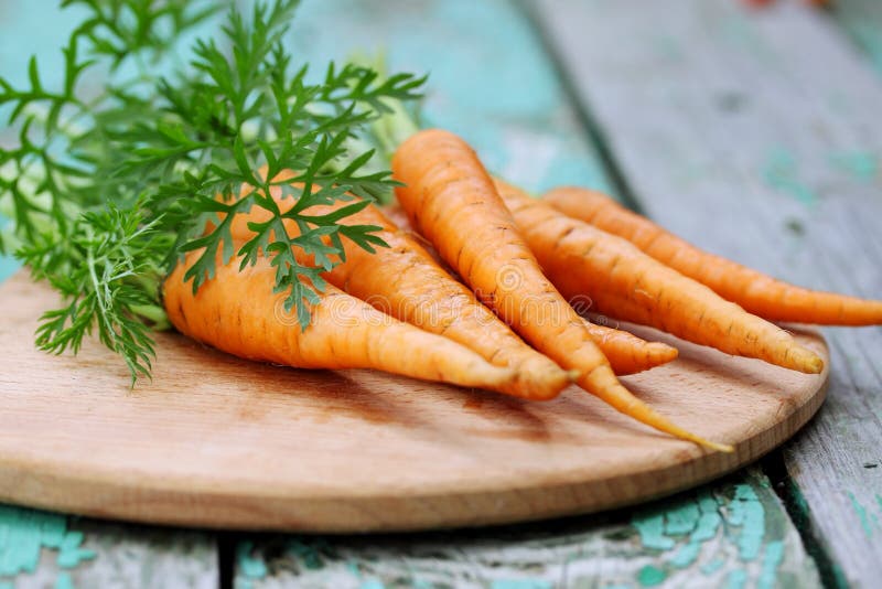 Juicy small carrots stock image. Image of freshness, nature - 56926423