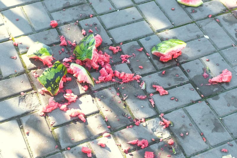 Juicy Smashed Watermelon Broken on Paving Slabs. Pieces of Watermelon ...