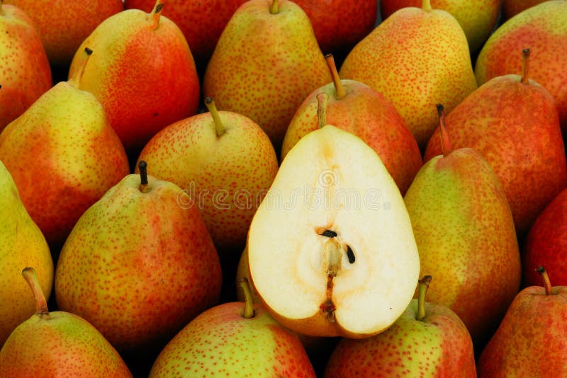 Juicy, sweet pears stock photo. Image of pear, culture - 15658152