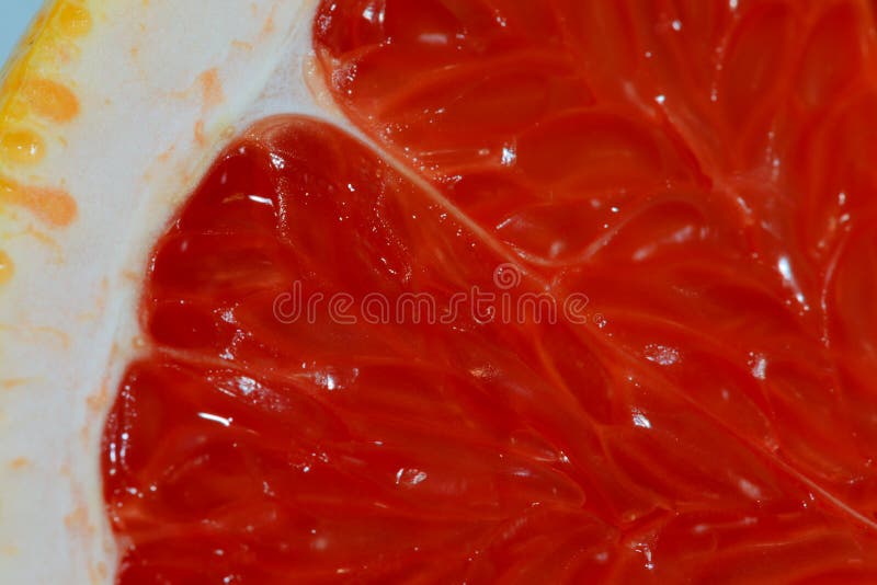 Juicy wedge of grapefruit stock photo. Image of macrop - 231210038