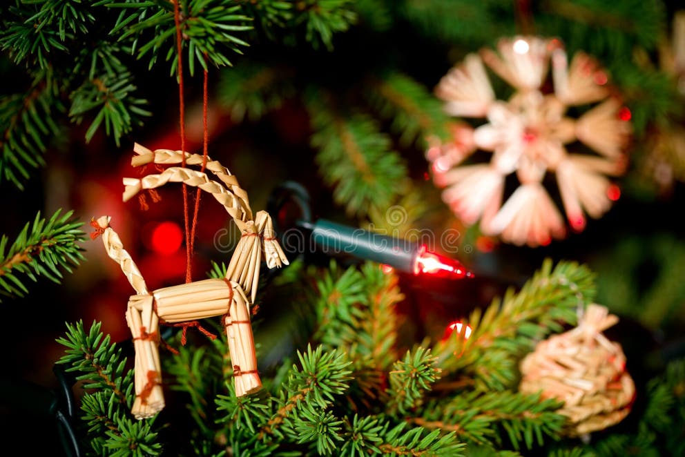 Julbock stock image. Image of poland, pine, reindeer - 21426187