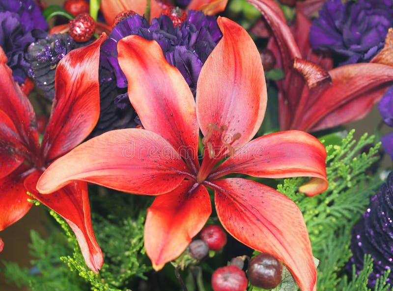 Julbukett arkivfoto. Bild av orange, liljar, blommor - 48366524