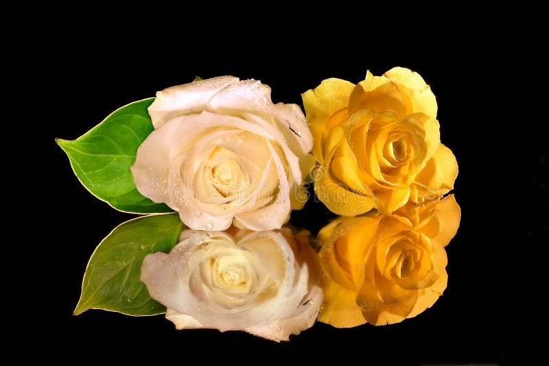 Birthday Spanking Julia Stock Photos - Free & Royalty-Free Stock Photos ...