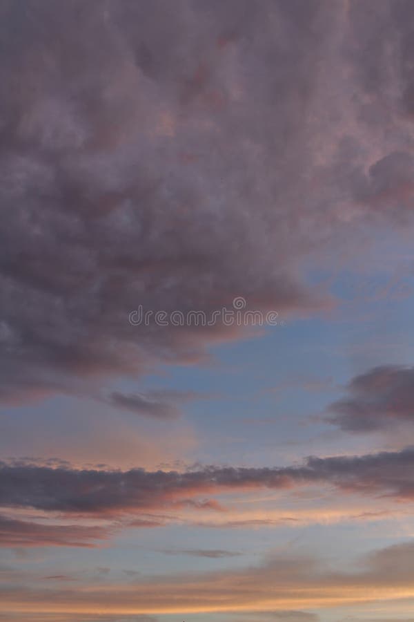 July evening stock photo. Image of purple, bank, gold - 89536434