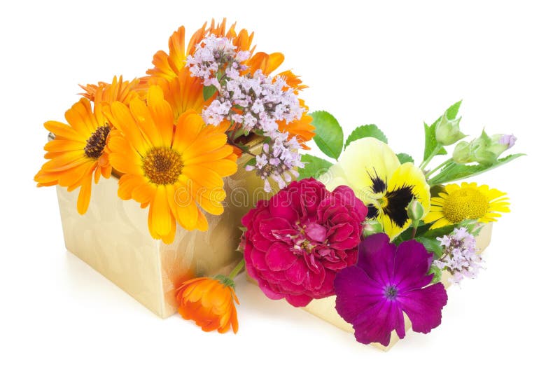 July gift for the beloved stock photo. Image of bright - 20374576