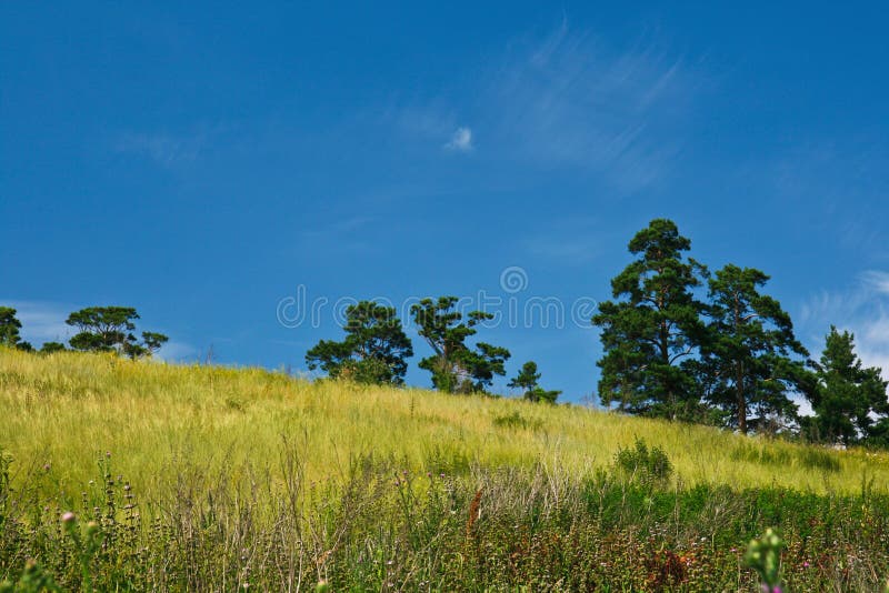 July 4th Landscape stock photo. Image of wagon, landscape - 95516924