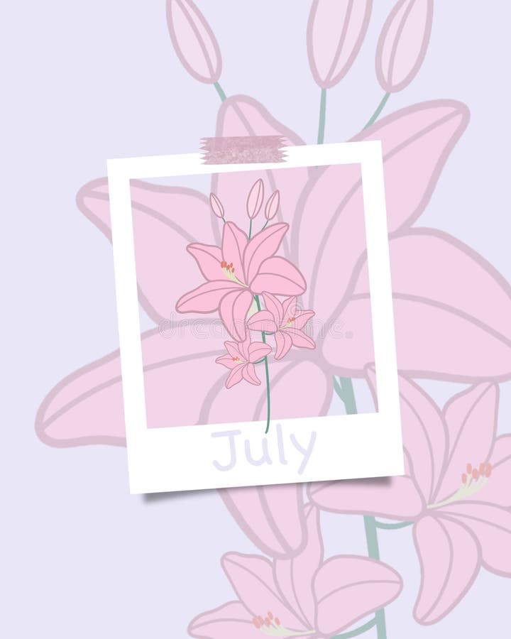 Minimalist Flat Floral Illustration of Pink Lily Flower. July Concept ...
