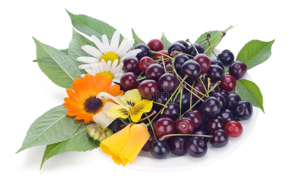 July mix stock photo. Image of background, nature, purple - 20374544