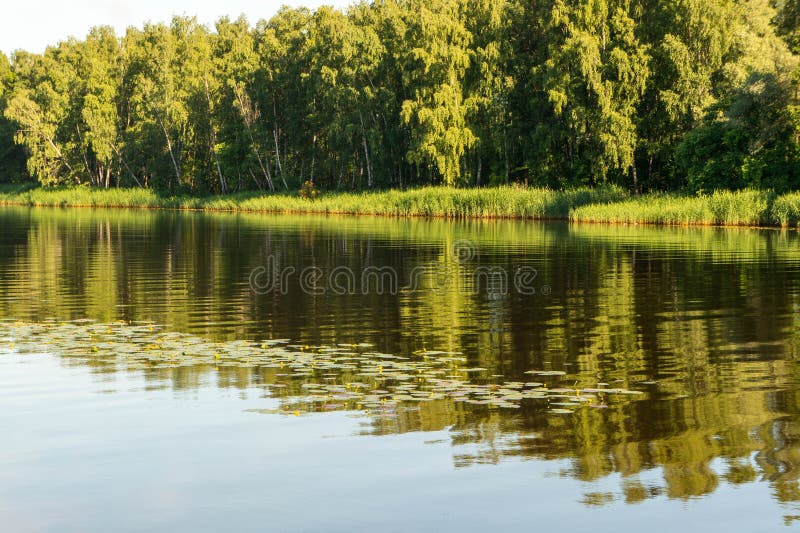 View of riverside stock image. Image of outdoor, sunny - 83122083