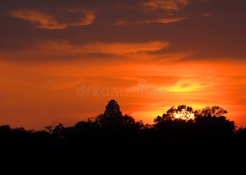 July Sunset stock image. Image of glow, beautiful, silhouette - 10445153