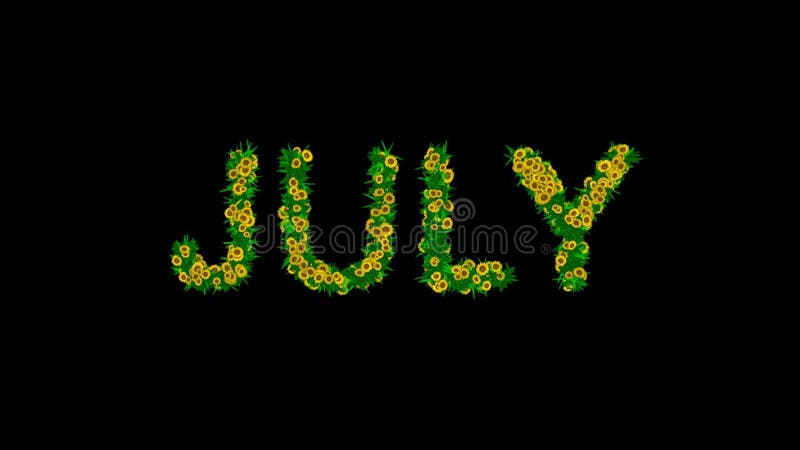 July Text with Green Leaves and Yellow Daisy Flowers on Plain Black ...
