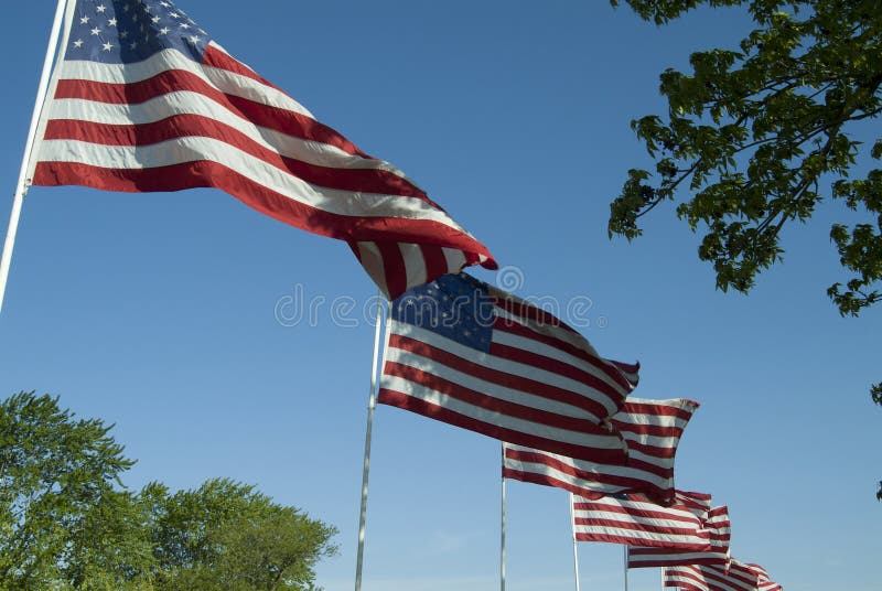 July 4th Flags stock photo. Image of bright, trees, flagpoles - 30922776
