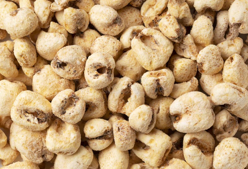 Jumbo Cones All Over the Screen Stock Image - Image of closeup, seed ...