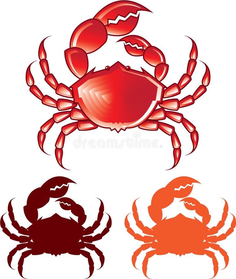 Jumbo Crab vector stock vector. Illustration of nature - 49274062