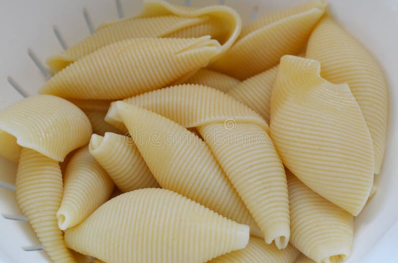 Cooked Jumbo Pasta Shells stock image. Image of lunch - 99320283
