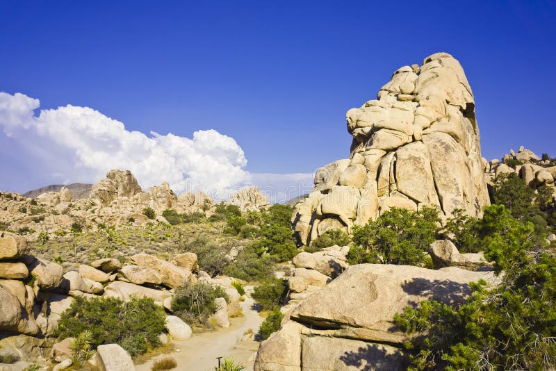 Jumbo rocks stock image. Image of jumbo, park, landscape - 26550143