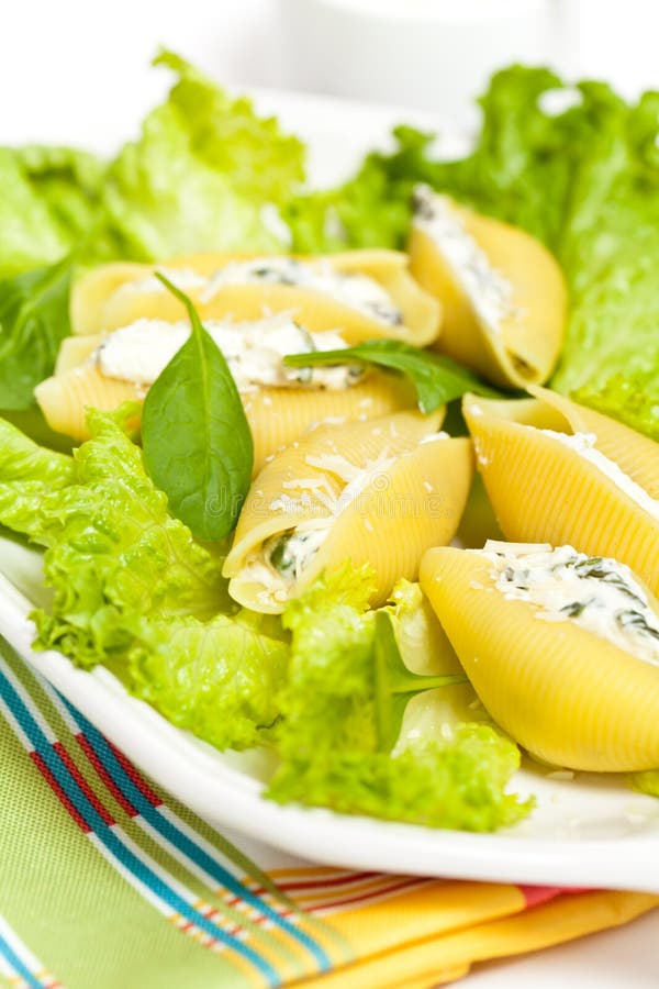 Jumbo Shells pasta stock photo. Image of jumbo, basil - 36337932