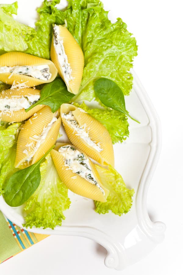 Jumbo Shells pasta stock image. Image of creamy, plate - 36338057