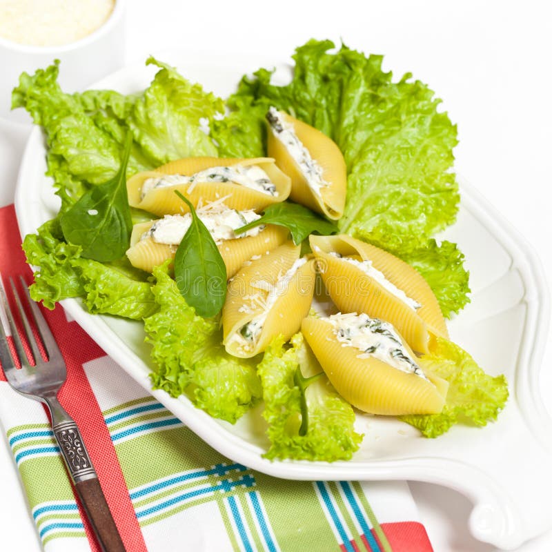 Jumbo Shells pasta stock photo. Image of jumbo, basil - 36337932