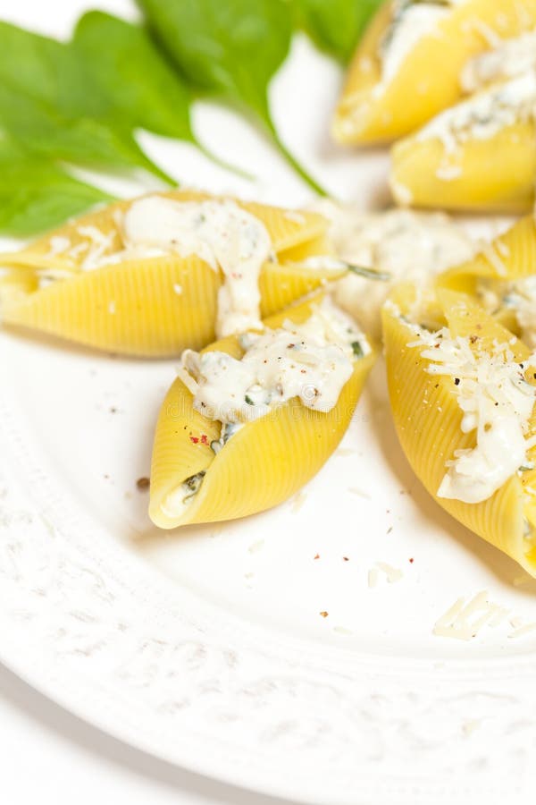 Jumbo Shells pasta stock image. Image of ingredient, spice - 36338055