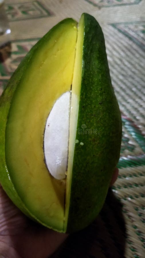 Jumbo Sized Buttery Avocado that is Ripe Stock Photo - Image of sized ...