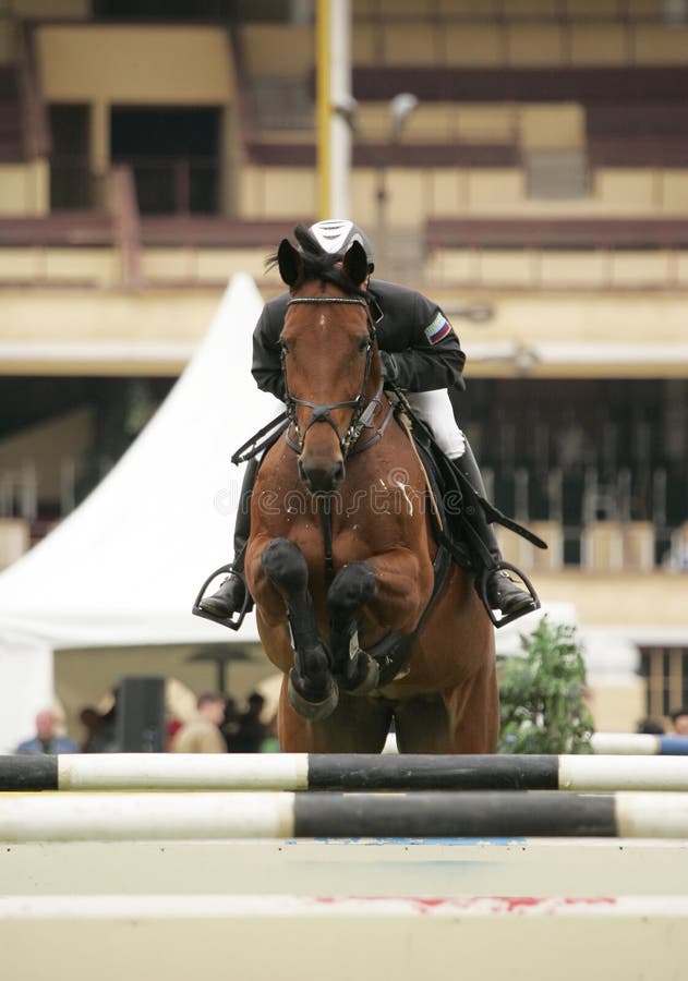 Jump through an obstacle stock photo. Image of controlled - 1985702