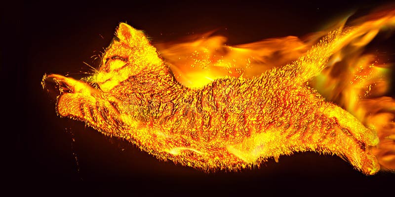 Jump of a Red-hot Fiery Kitten on a Black Background Stock Photo ...